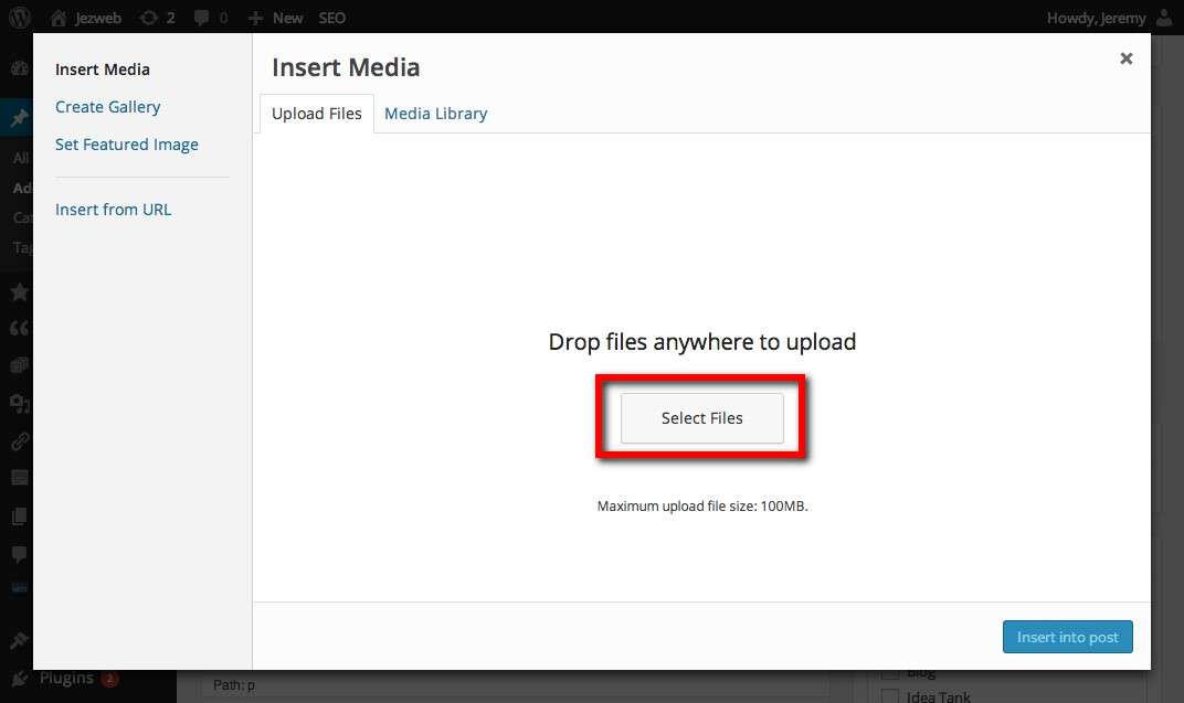 How To Add Images To WordPress Custom Blog Posts Add Images To Blog Posts